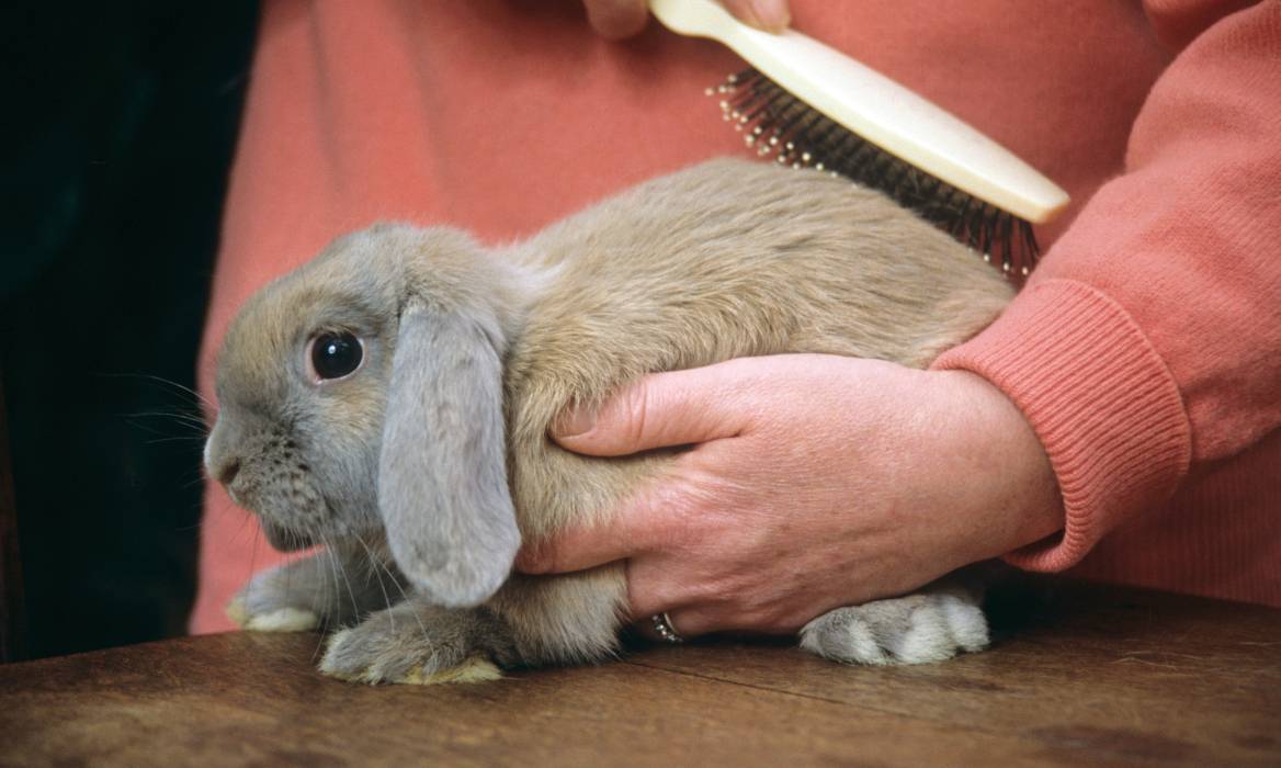 Zolux - Professionnel de l'animalerie