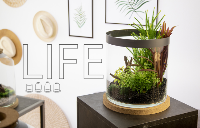 Filtration de l'aquarium - Zolux