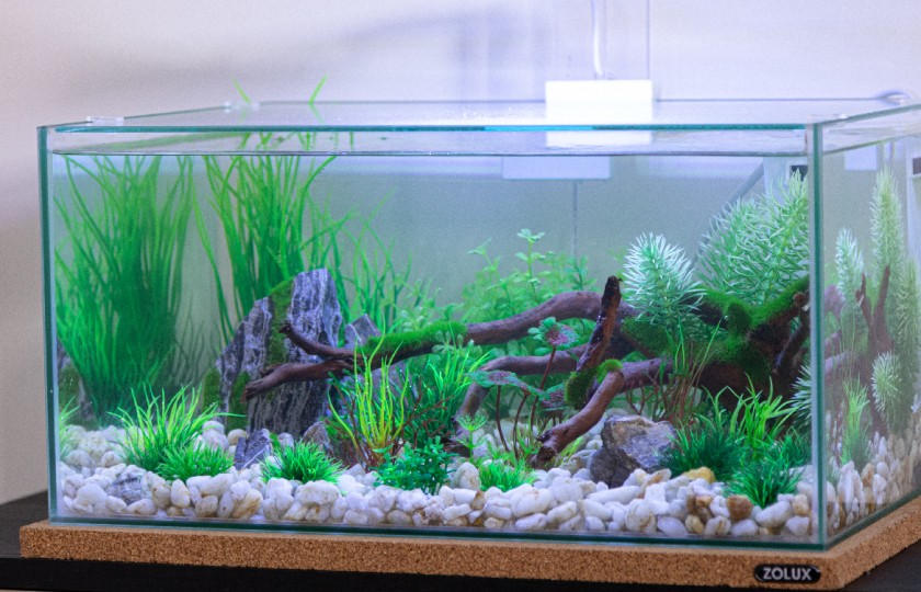 Nos engagements - Zolux