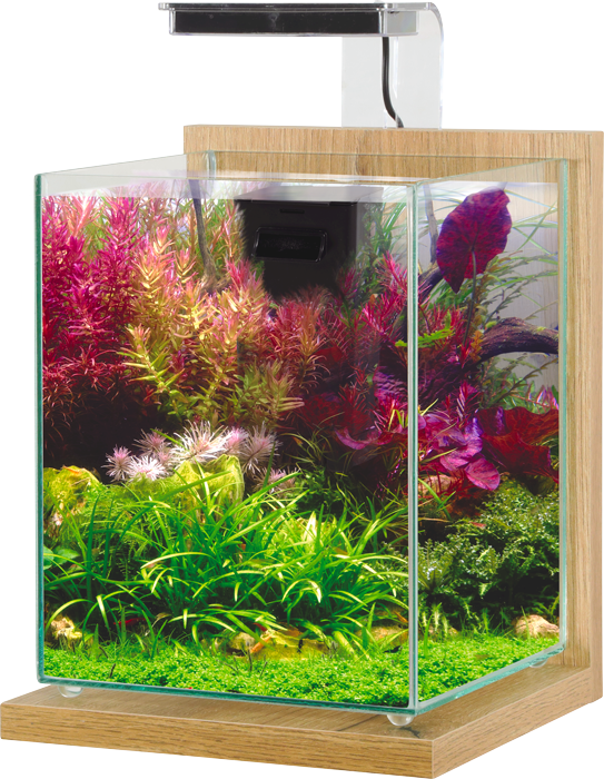 Nano Aquariums JALAYA : petit aquarium, design élégant de Zolux