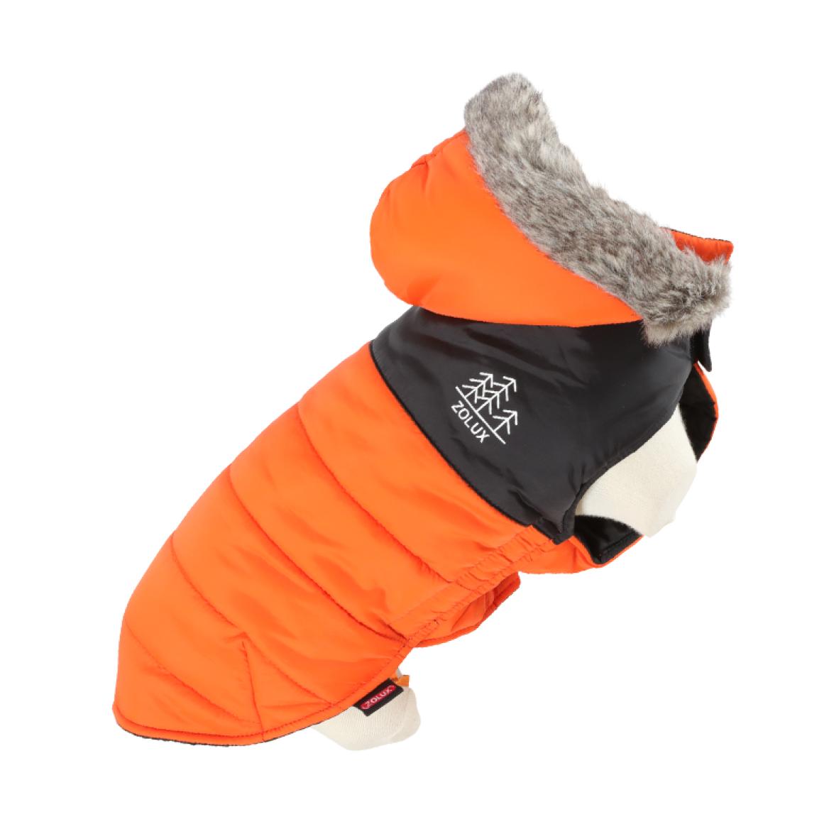 Collection éco-responsable de vêtements pour chiens