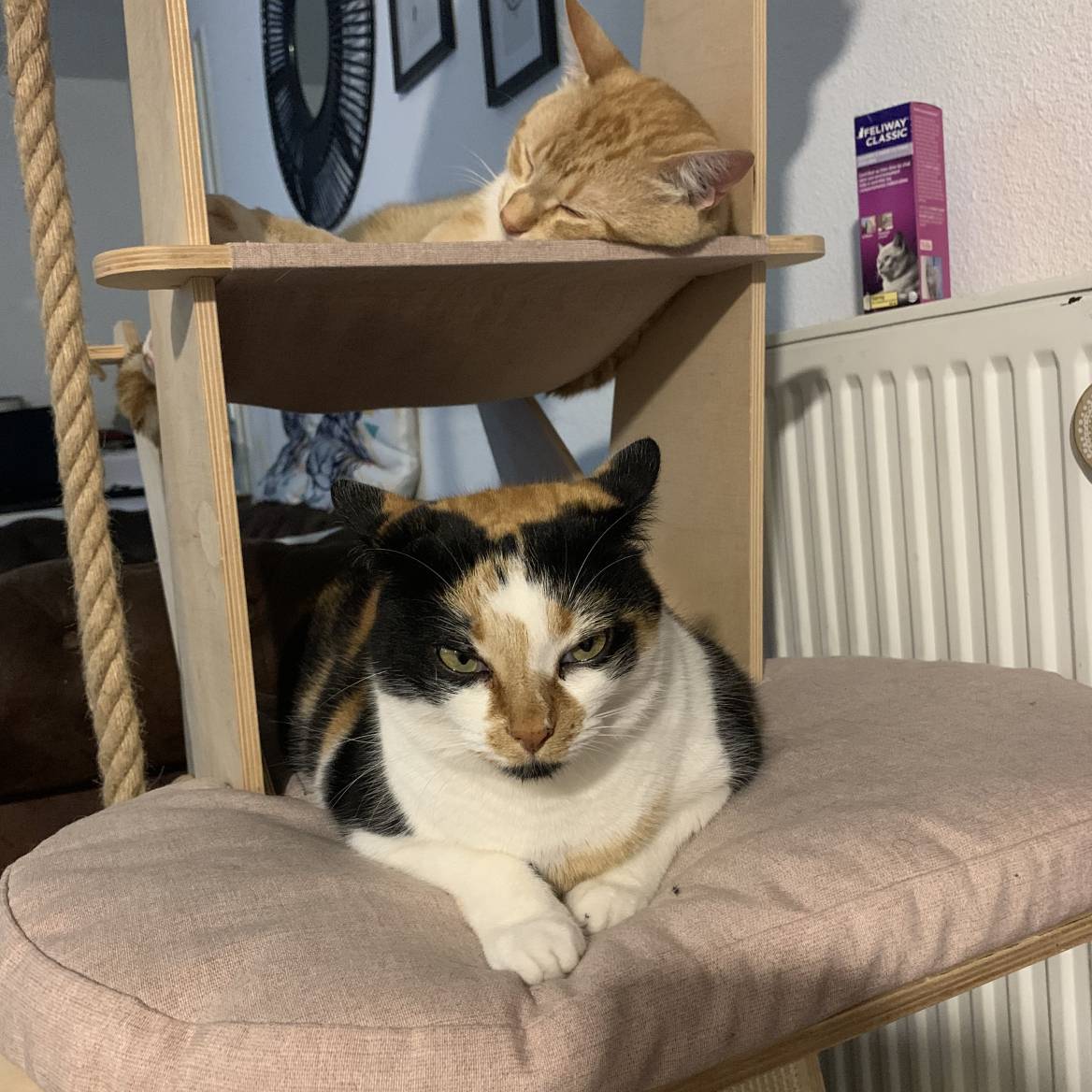 Zolux - Professionnel de l'animalerie