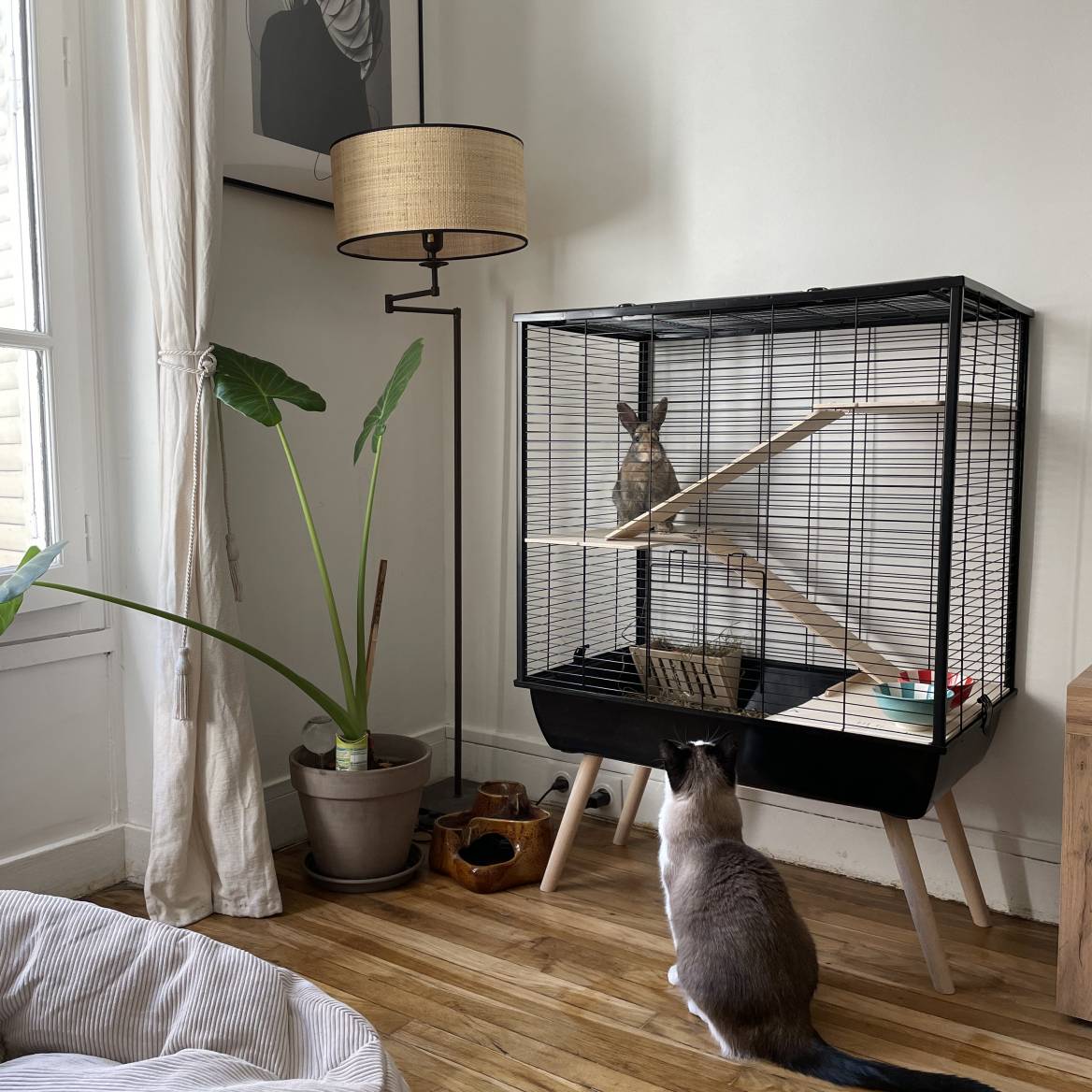 Zolux - Professionnel de l'animalerie