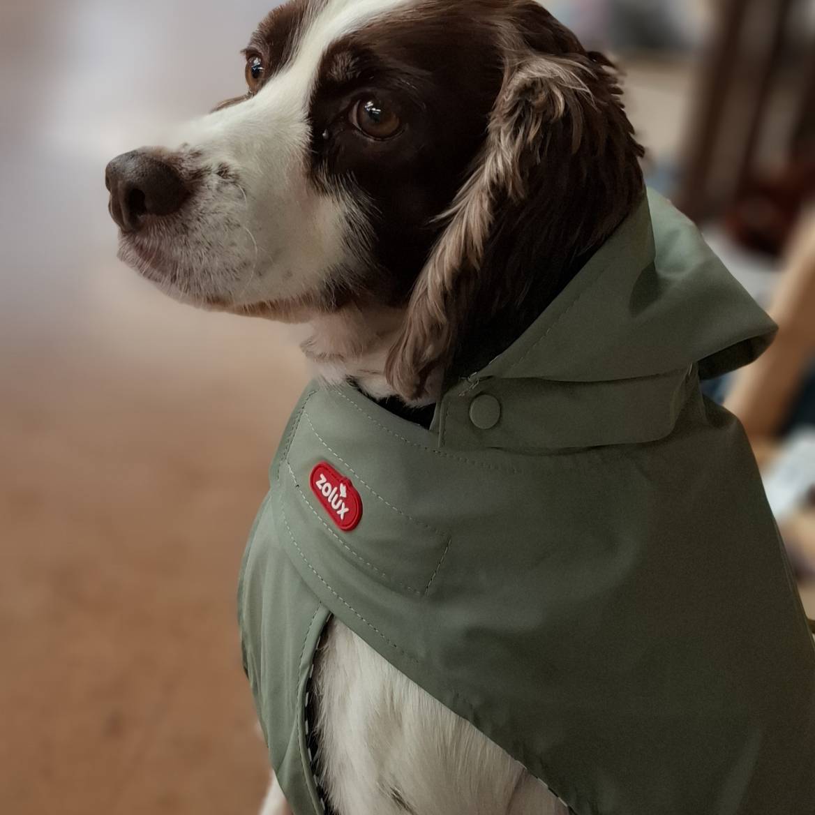 Zolux - Professionnel de l'animalerie
