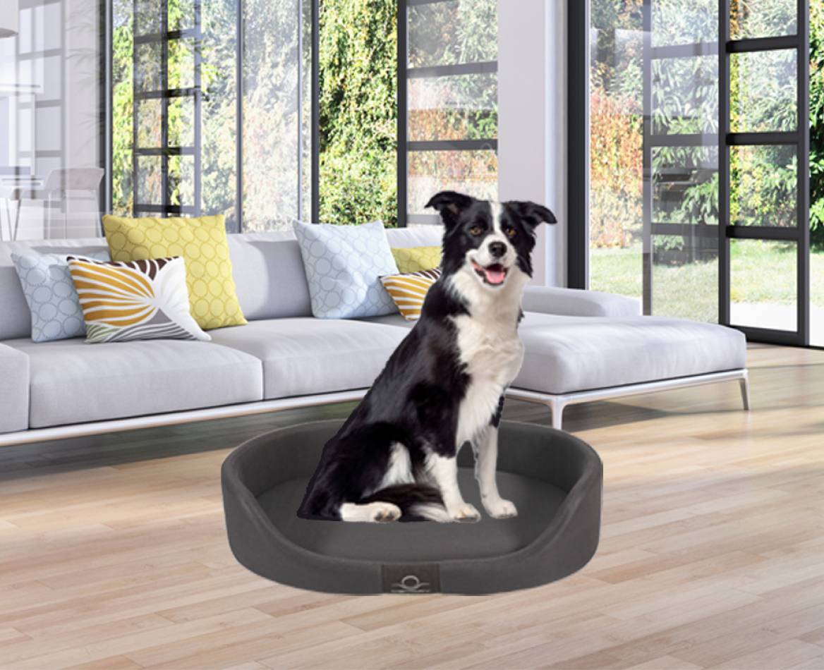 Confort pour chiens Memory - Zolux