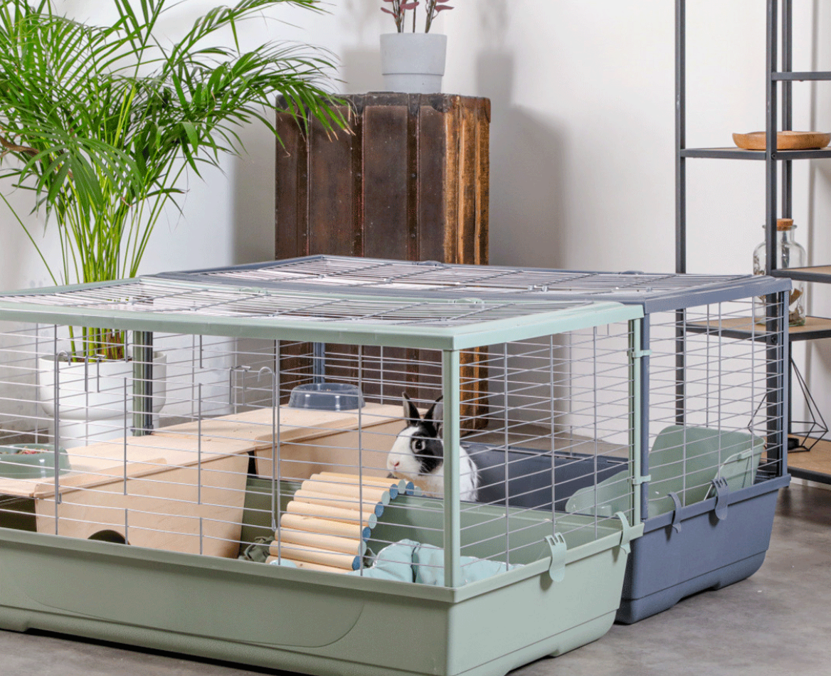 Habitats Rongeurs Connectables - Neolife-Connect