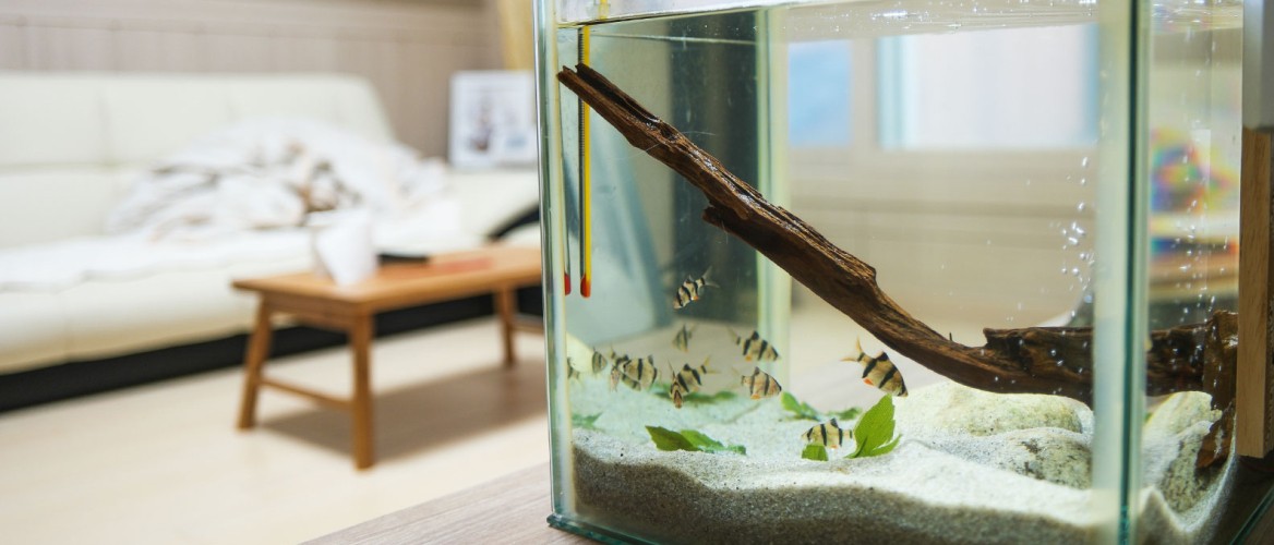 Zolux - Professionnel de l'animalerie